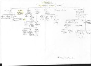 Starting Family History Research? Helpful Tips and Advice - Family Tree ...