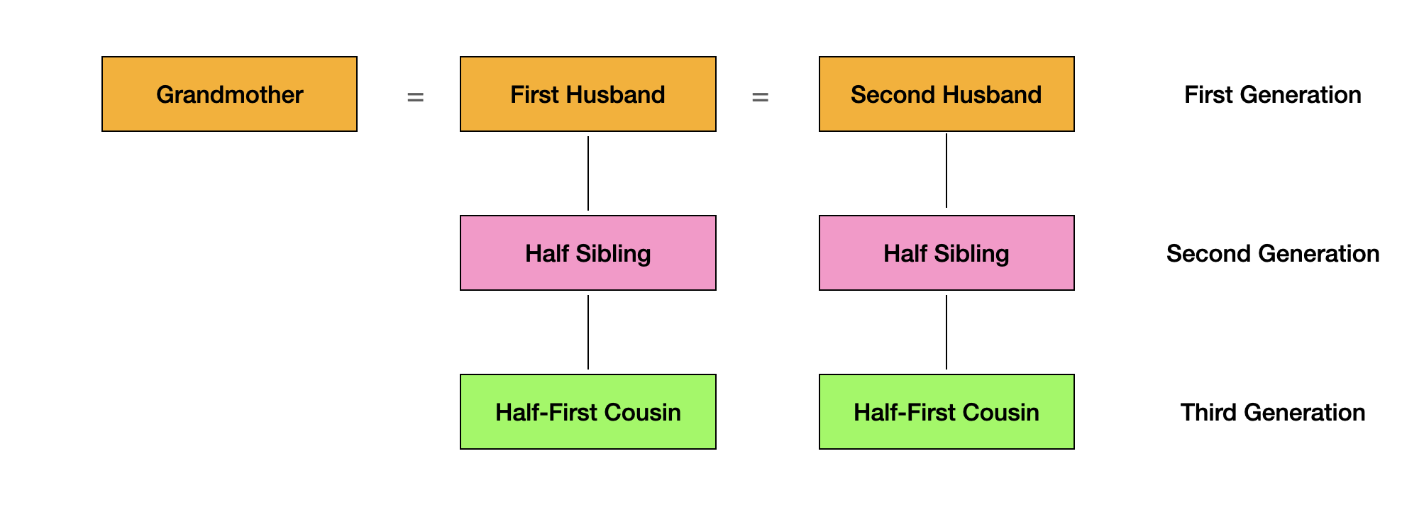 How Do Family Trees Work With Cousins? - Family Tree Resources