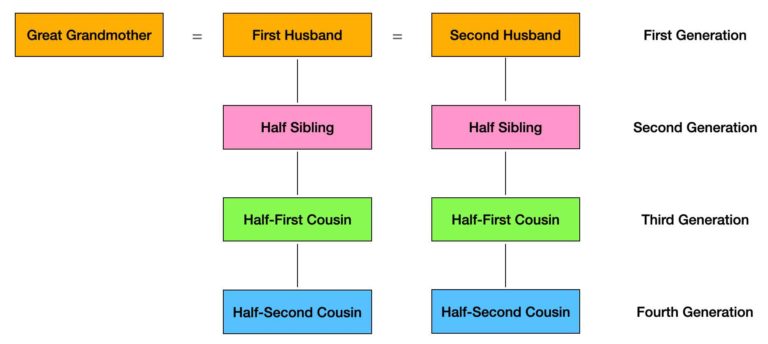 How Do Family Trees Work With Cousins? - Family Tree Resources